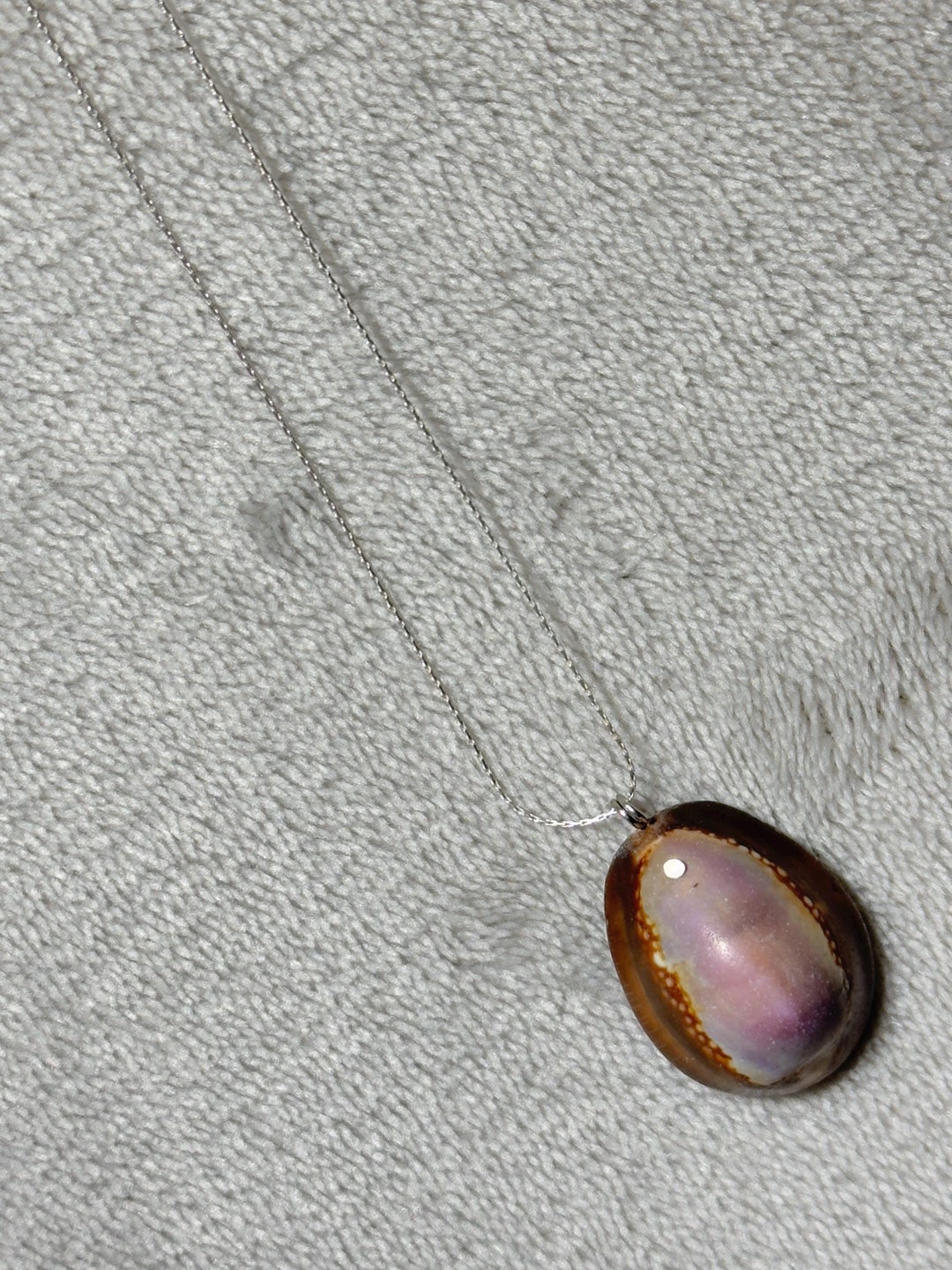 Purple Cowrie Shell Thick Silver Necklace - Etsy