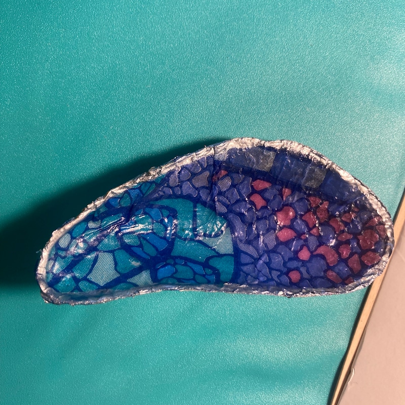 Mussel Shells - Etsy