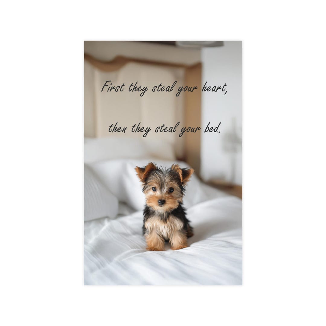 Yorkie Puppy on Bed Poster, Matte Dog Wall Art, Funny Saying Yorkie ...