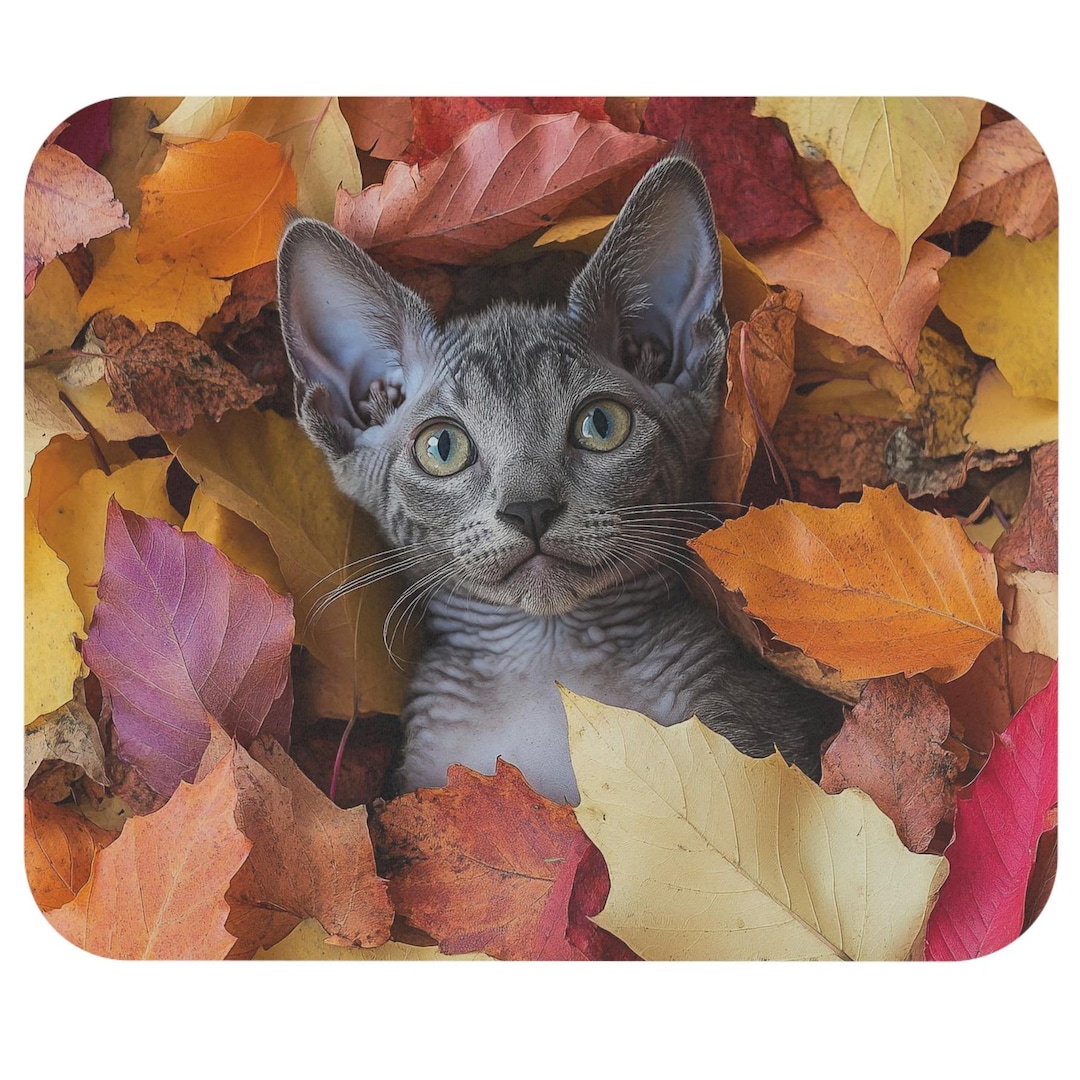 Devon Rex Kitten Mouse Pad, 9"x8", Devon Lover Mouse Pad Gift, Animal ...