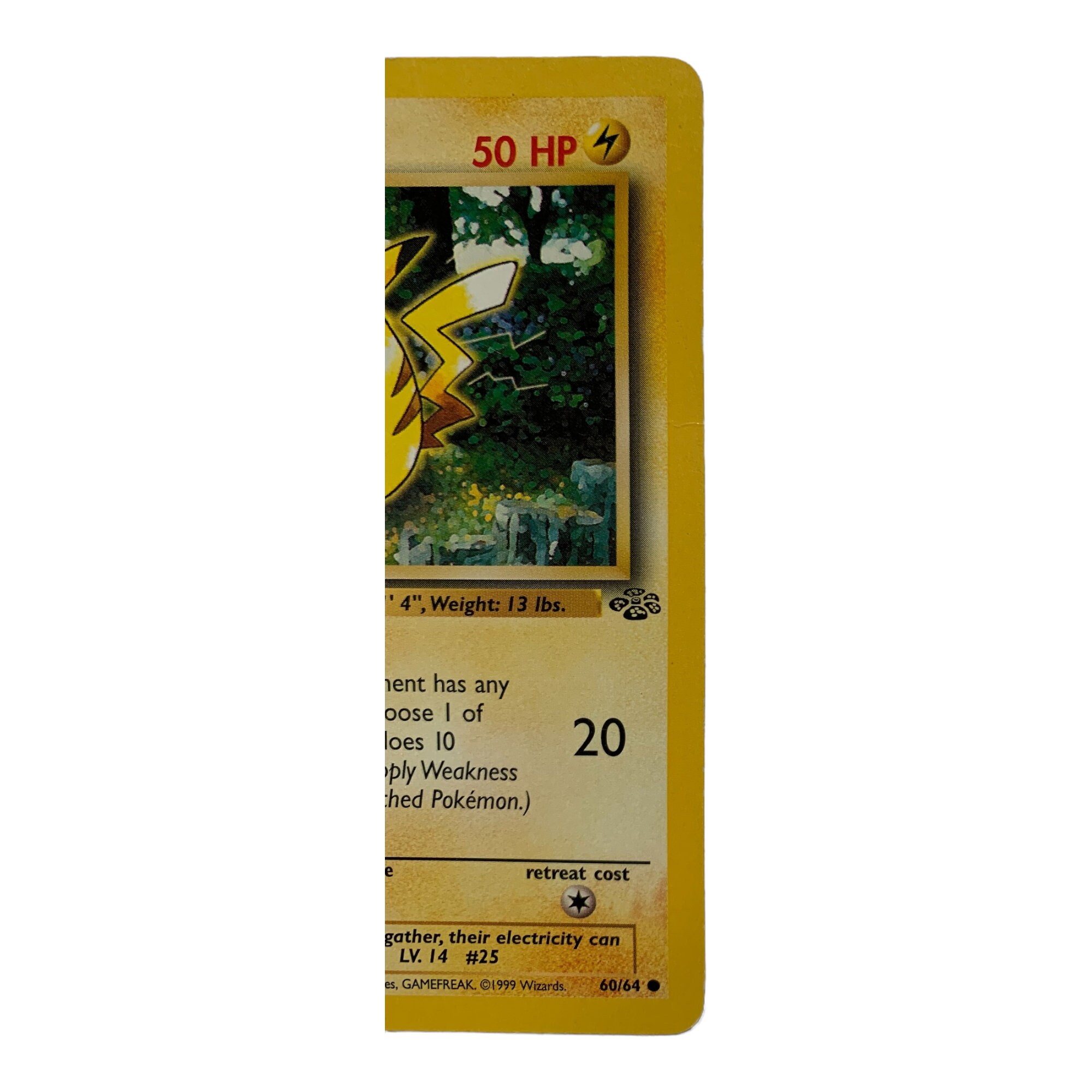 Rare Pikachu 1st Edition 60/64 Jungle Set 1999 Wizards of the Coast ...