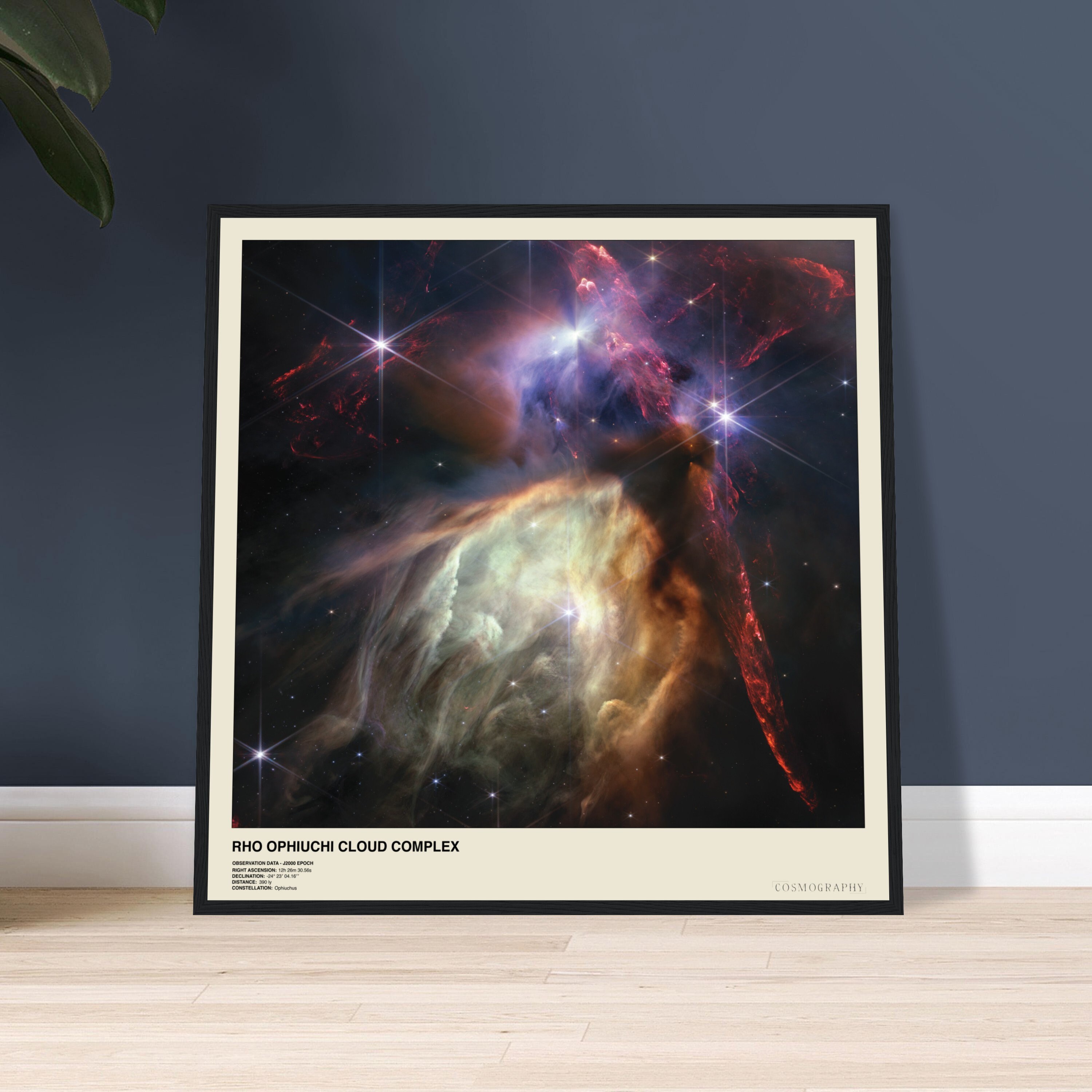 Rho Ophiuchi - James Webb Telescope - Contemporary Astrophotography Art ...