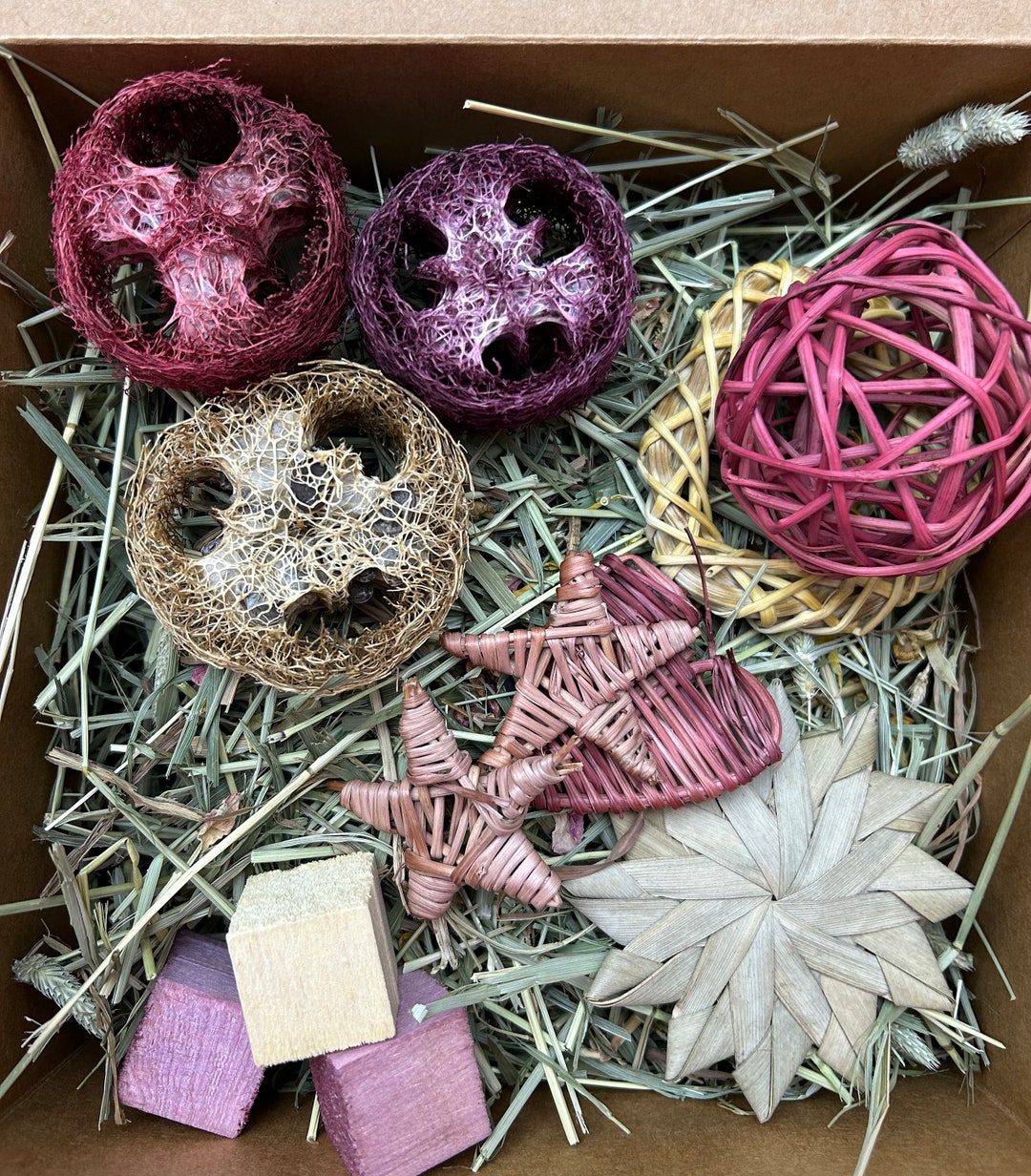 The Spoiled Bun Forage Box, Bunny Forage Dig Box, All Natural Chew Toys ...