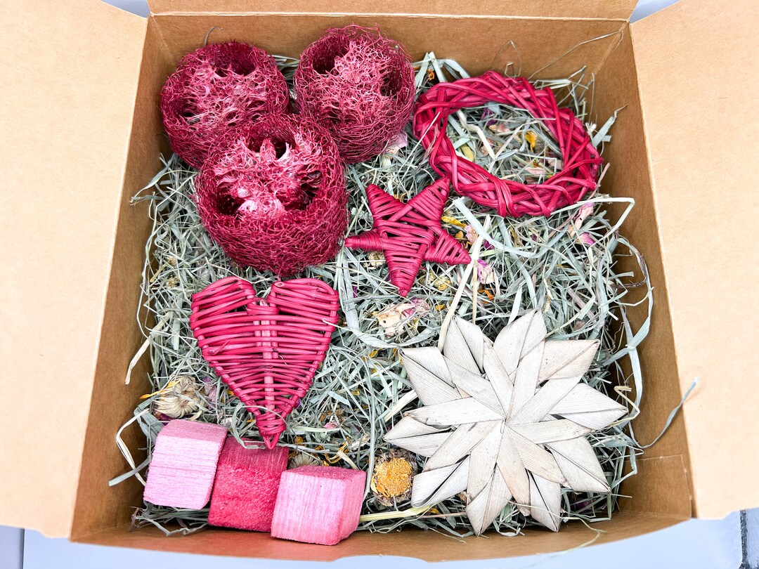 The Spoiled Bun Forage Box Bunny Forage Box All Natural Chew - Etsy