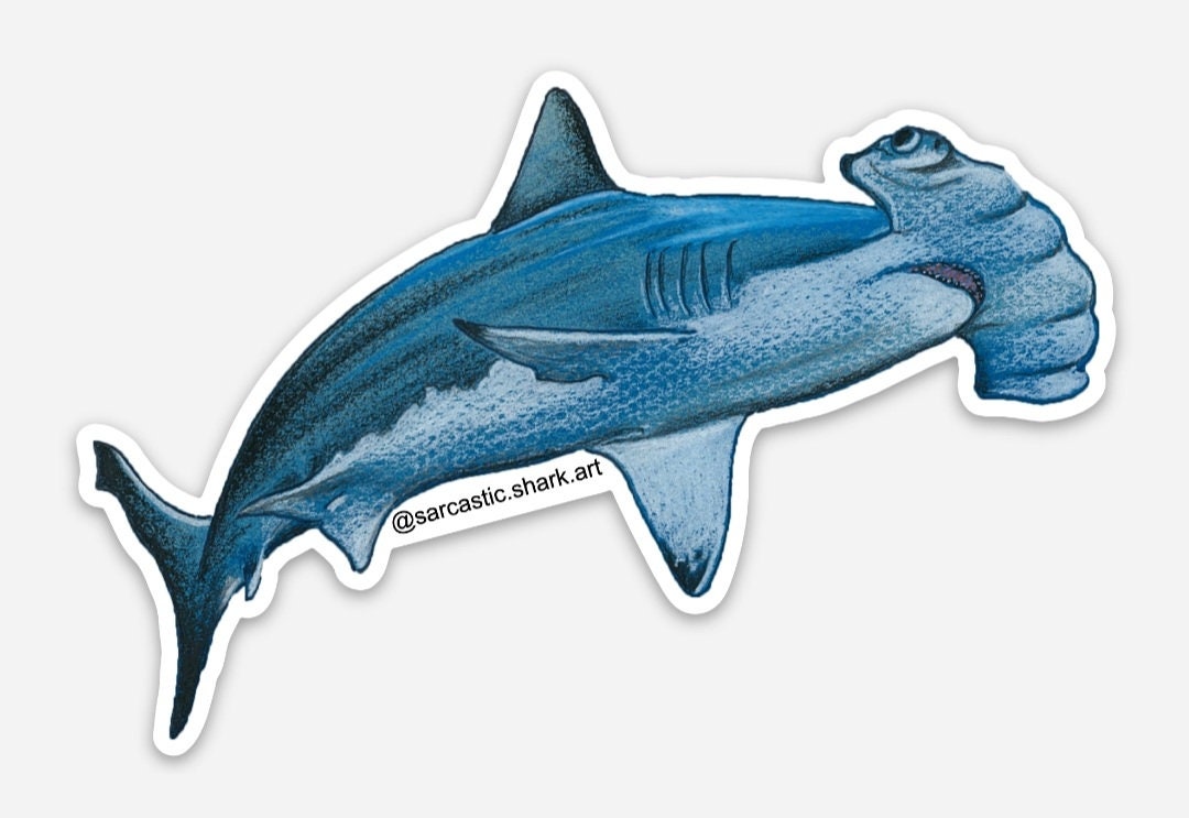 Hammerhead Shark 002 Vinyl Sticker - Etsy