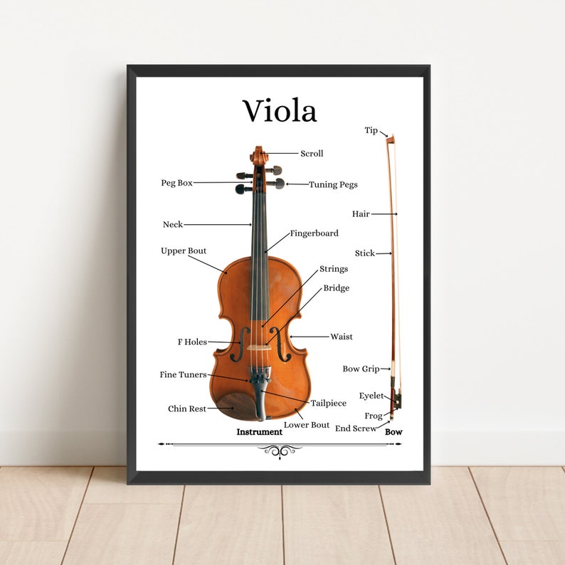 Viola Print Viola Instrument Diagram Instrument Print - Etsy