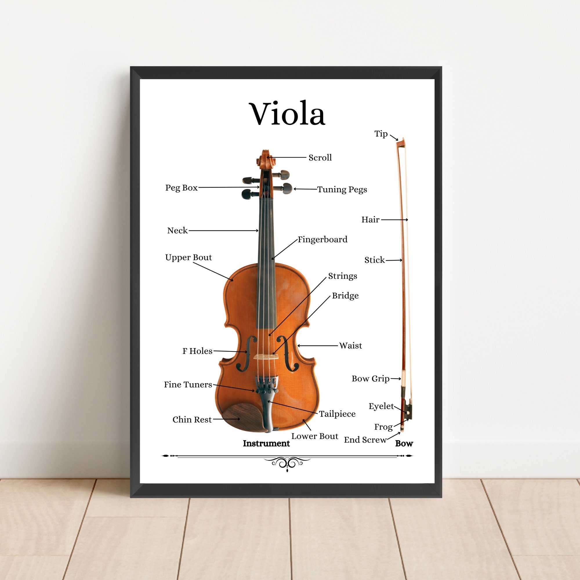 Viola Print Viola Instrument Diagram Instrument Print - Etsy