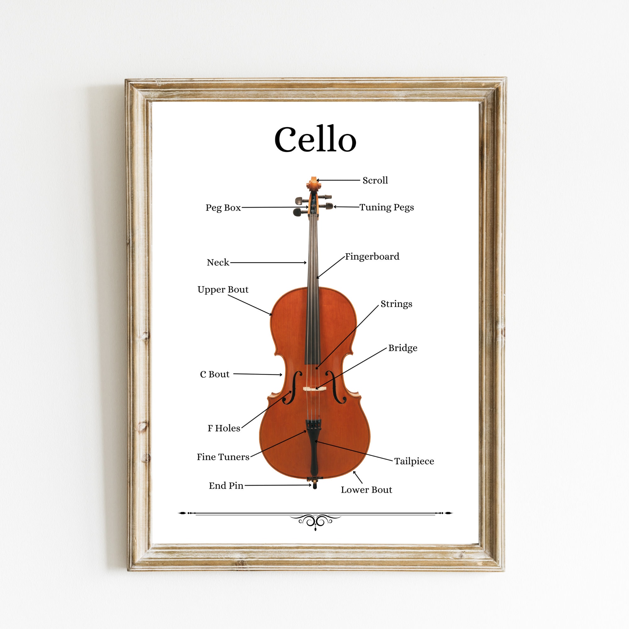 Cello Print Cello Instrument Anatomy Music Education Printable Music ...