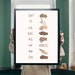 Skin Tones Solfege Hand Signs Poster Music Classroom Poster - Etsy