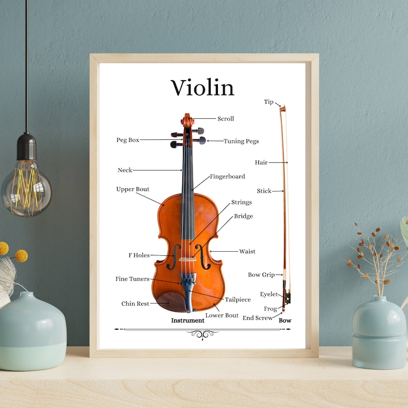 Violin Print Violin Instrument Diagram Musical Instrument - Etsy