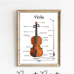 Viola Print Viola Instrument Diagram Instrument Print - Etsy