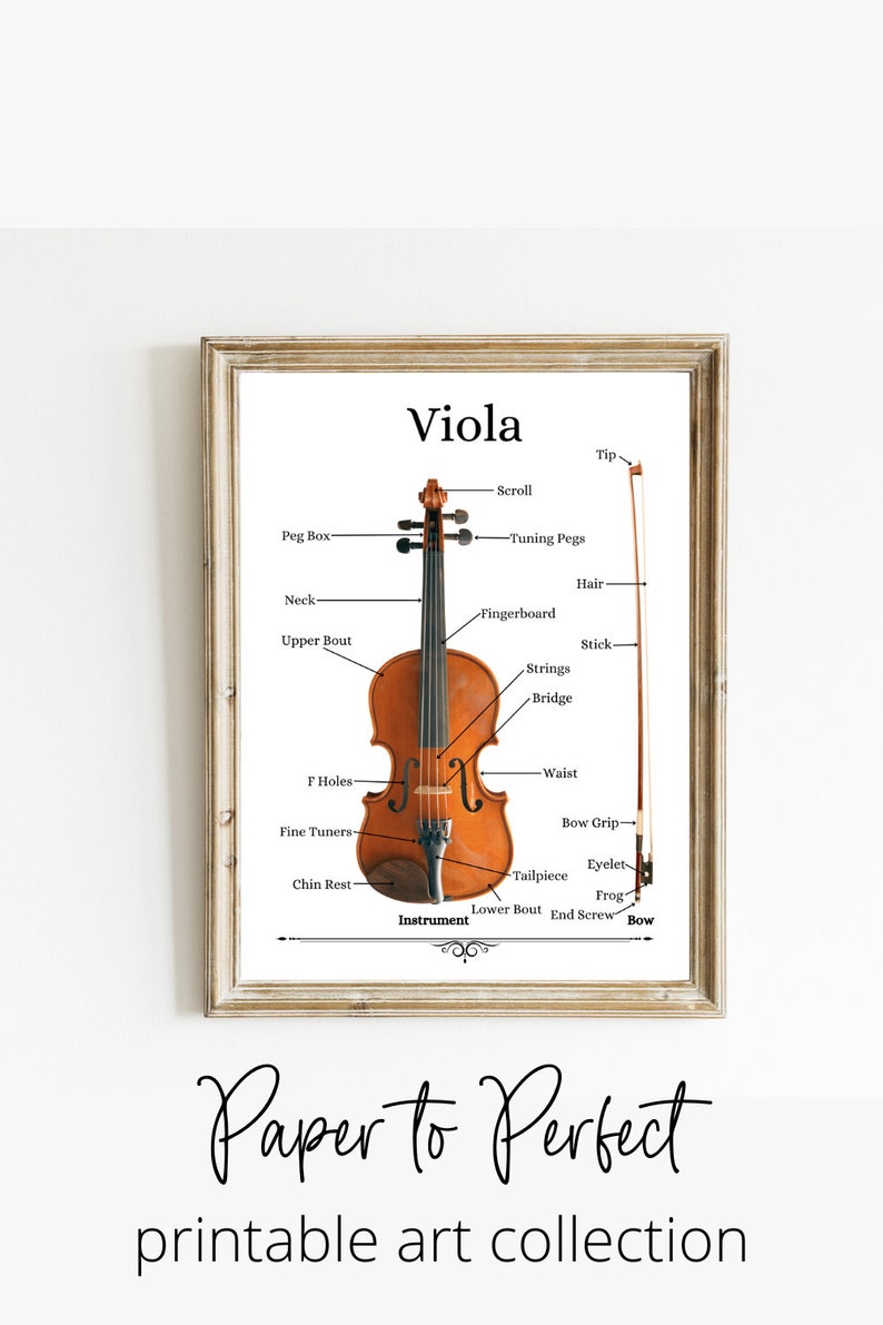 Viola Print Viola Instrument Diagram Instrument Print - Etsy