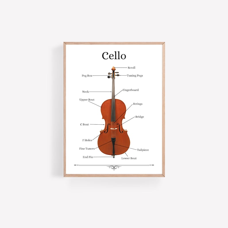 Cello Print | Cello Instrument Anatomy | Music Education Printable ...