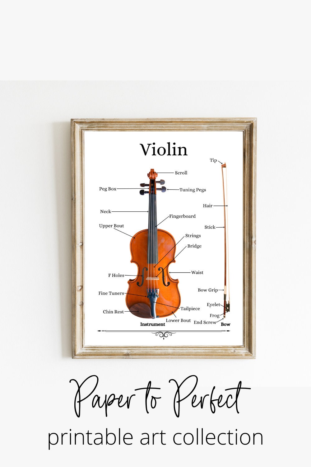 Violin Print Violin Instrument Diagram Musical Instrument - Etsy