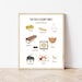 Instrument Families Poster | Musical Instruments Poster | Classical ...