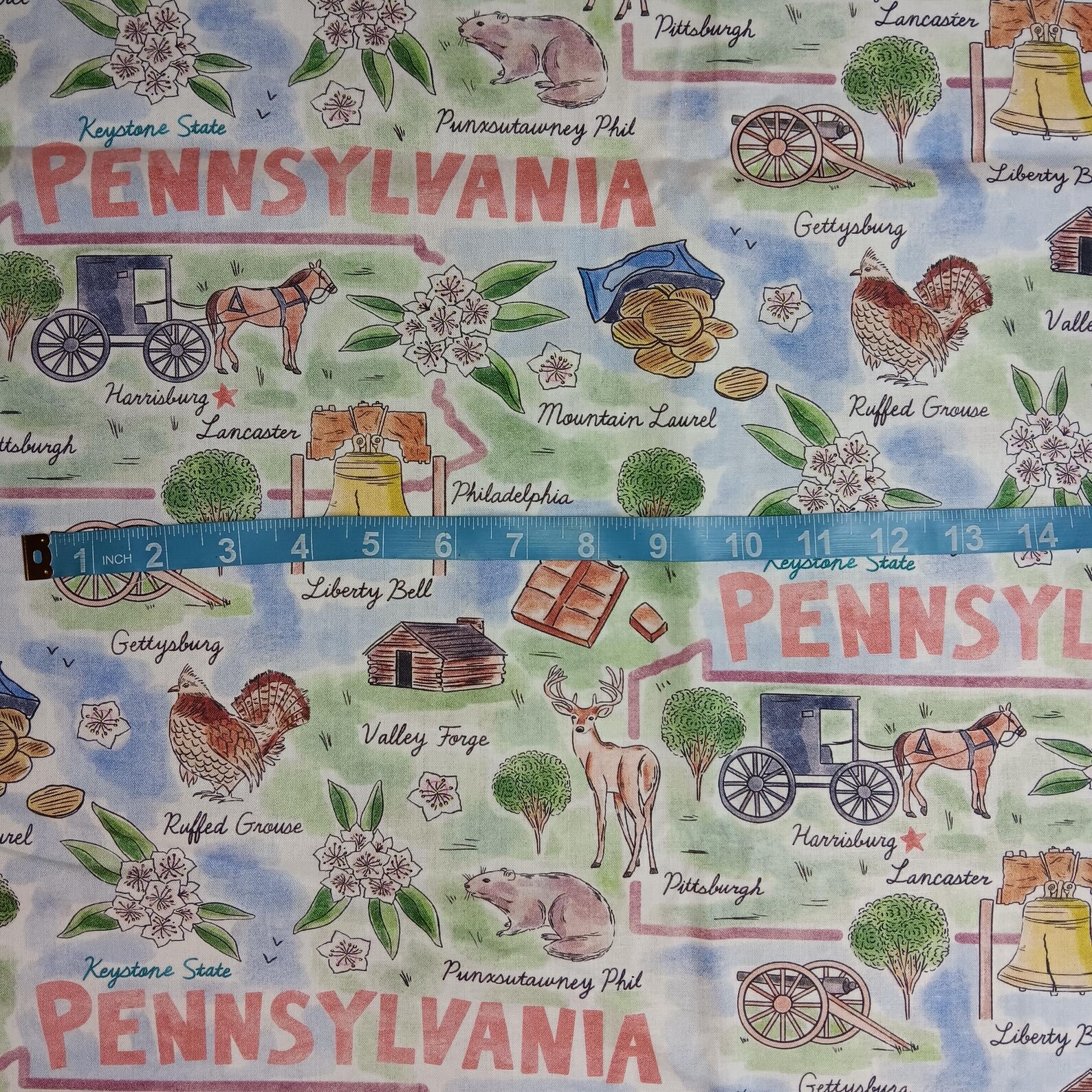 Pennsylvania Fabric -keystone State-punxsutawney Phil-pittsburg ...
