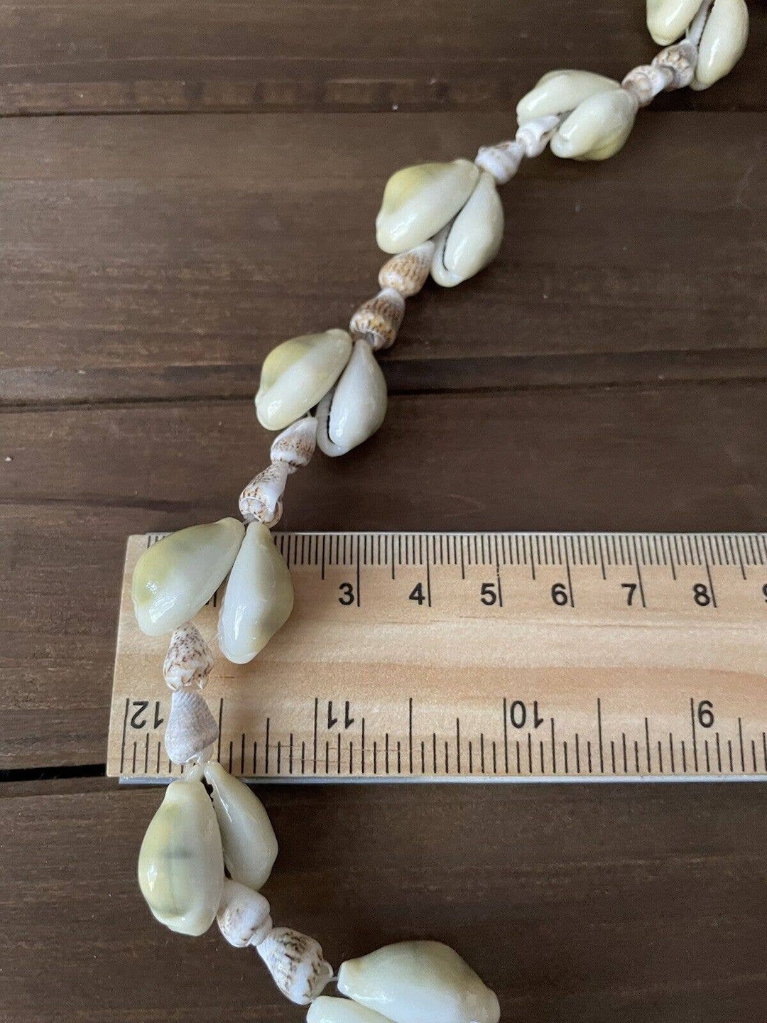 Vintage Shell Lei - Necklace - Rare LARGE Shells - 34” - Etsy