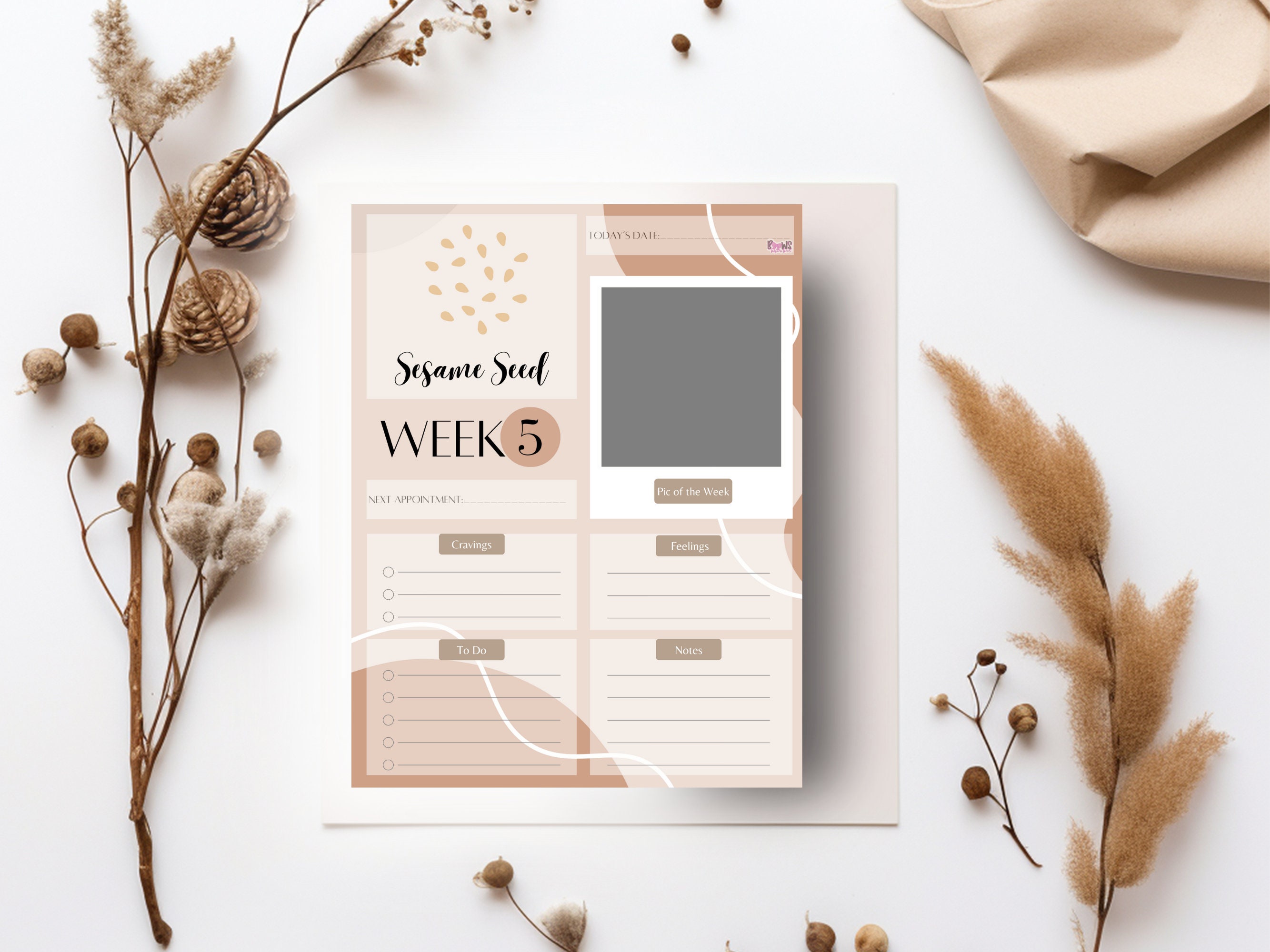 Pregnancy Journal Printable Pregnancy T Pregnancy Planner