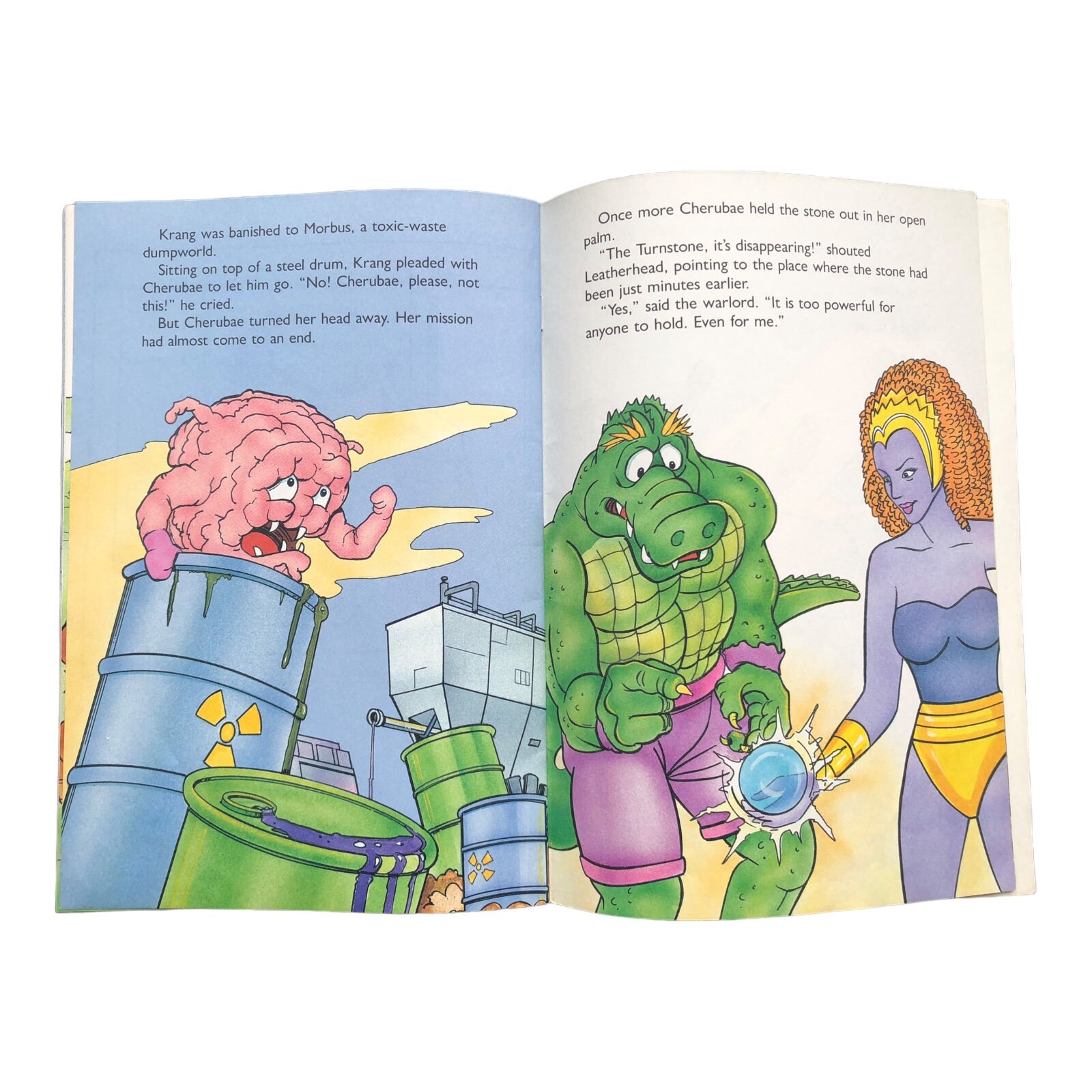 Teenage Mutant Ninja Turtles the Fight for the Turnstone A Storybook ...