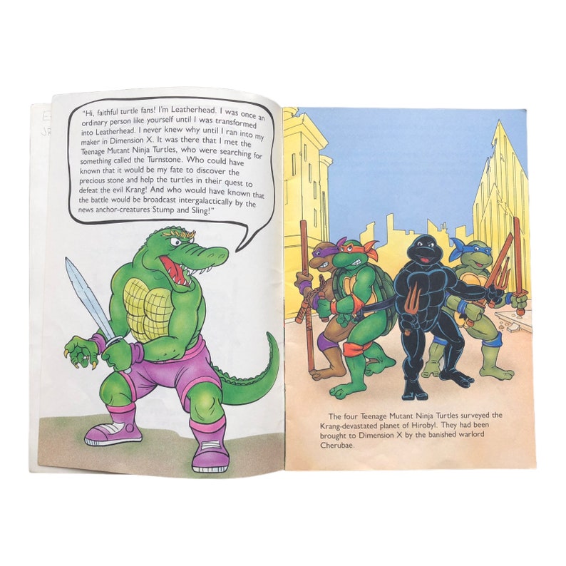 Teenage Mutant Ninja Turtles the Fight for the Turnstone A Storybook ...