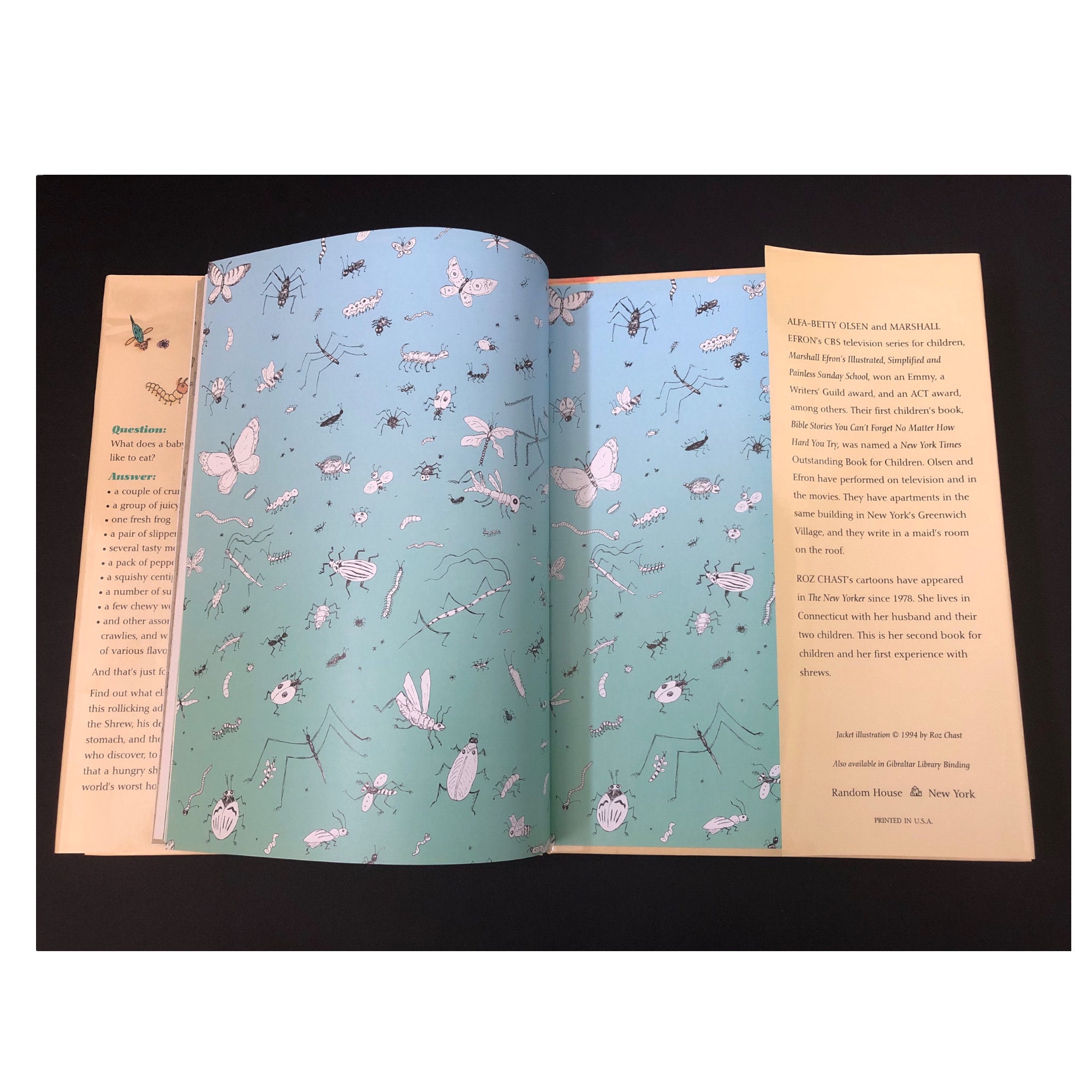 Gabby the Shrew Children's Book by Alpha Betty Olsen and - Etsy