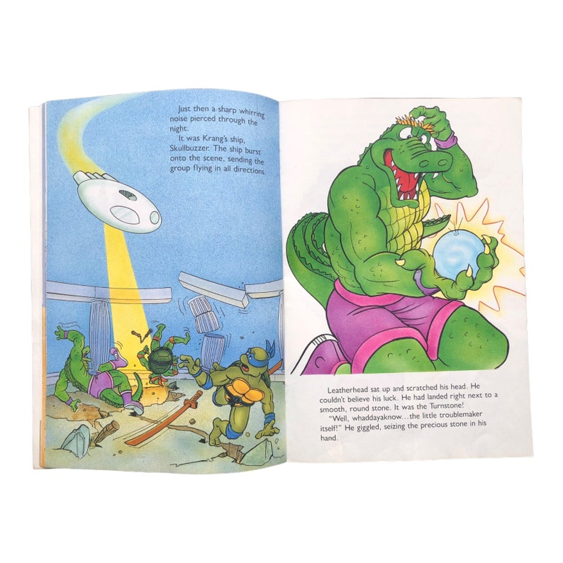 Teenage Mutant Ninja Turtles the Fight for the Turnstone A Storybook ...