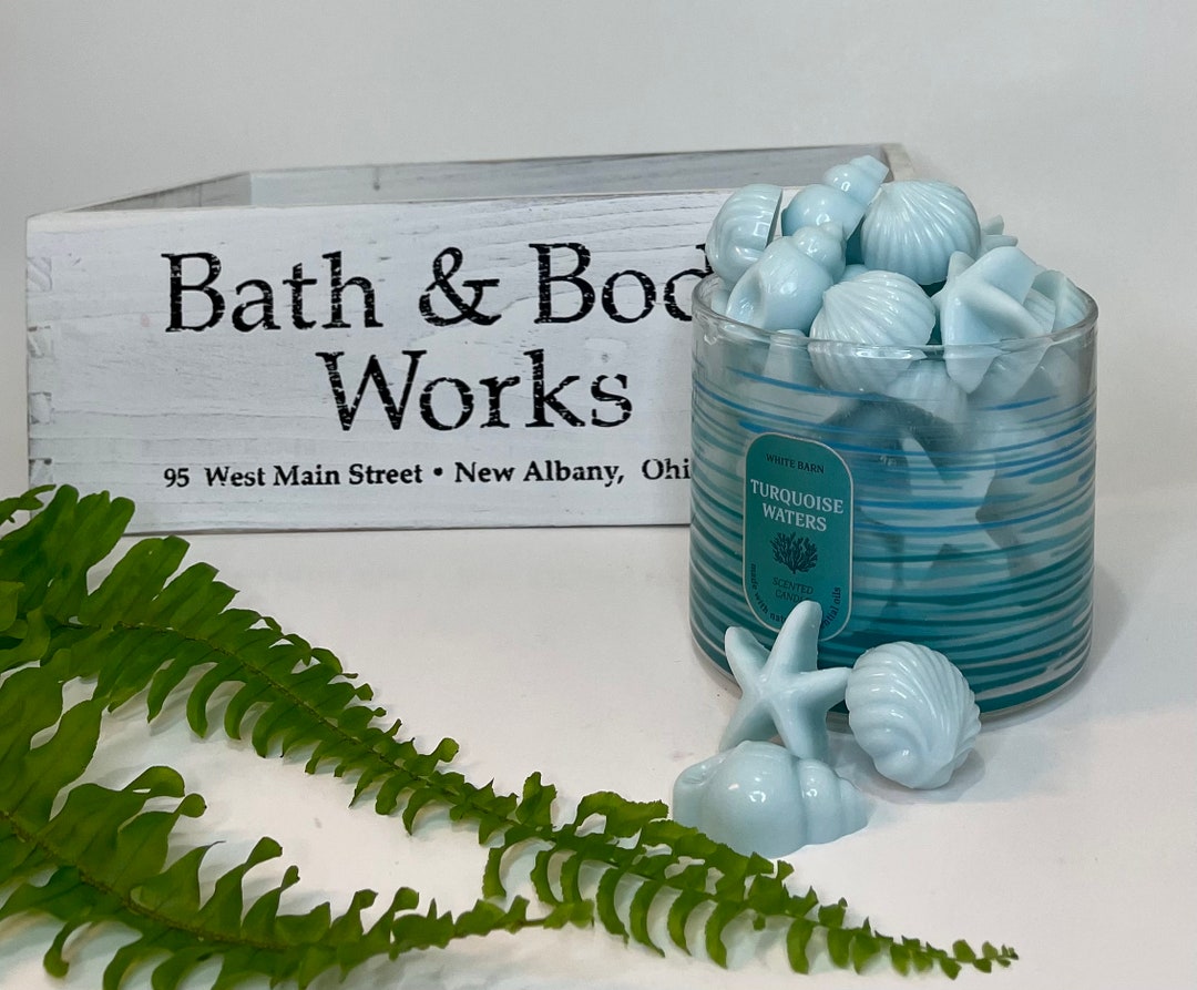 Bath and Body Works Turquoise Waters Wax Melts, Strongly Scented, for ...