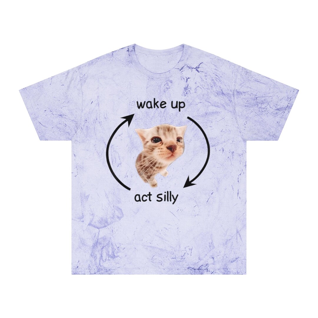 Wake up Act Silly Cat Meme Unisex Color Blast T-shirt - Etsy