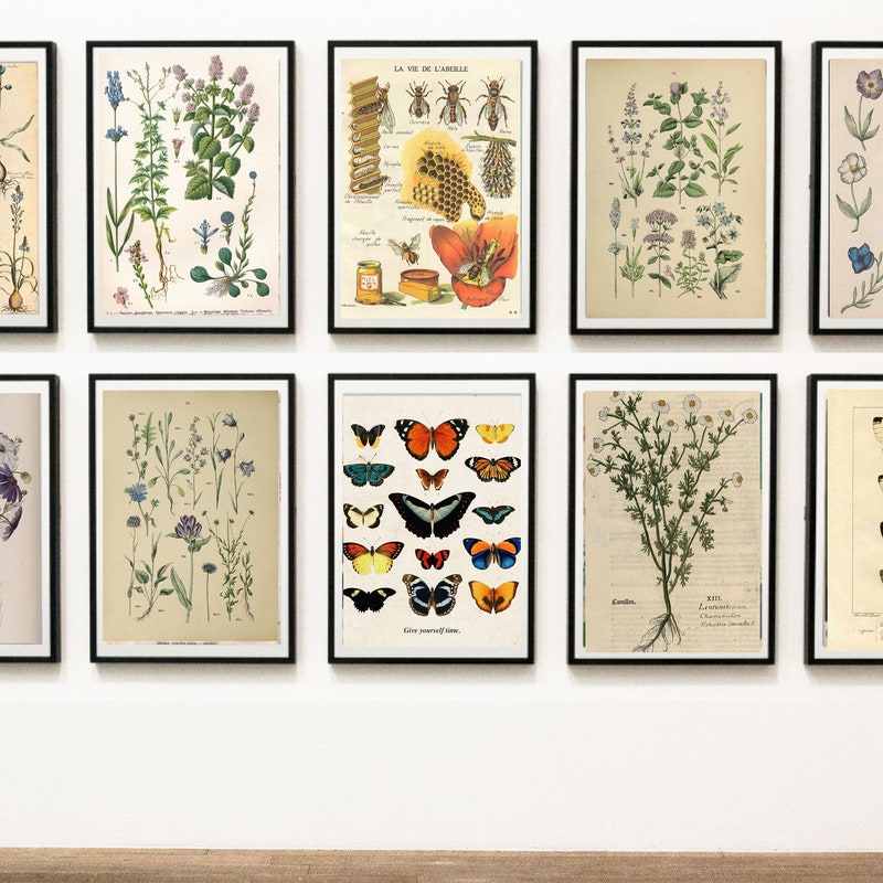 Nature Poster - Etsy