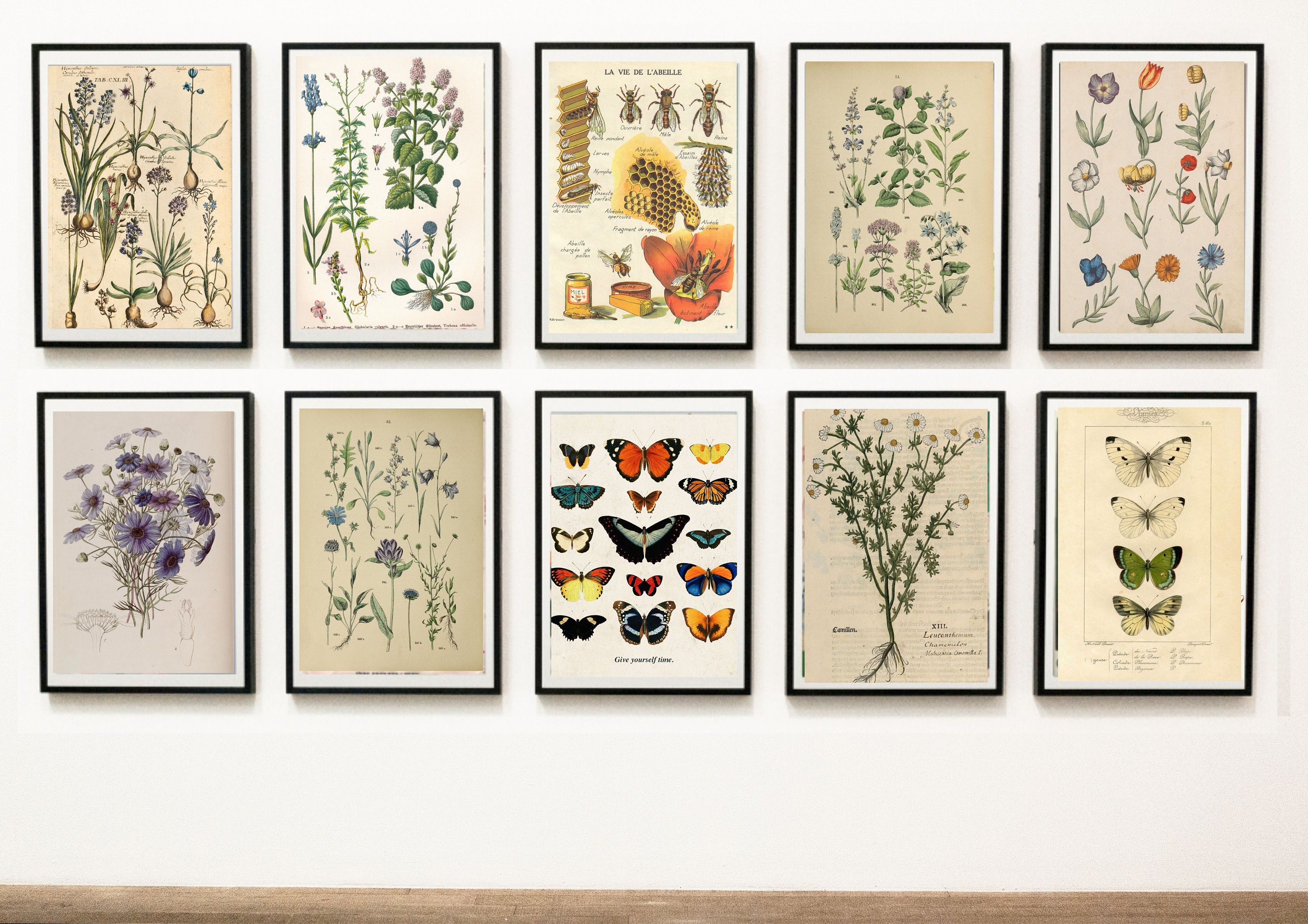 25 Vintage Nature Posters Wall Decor Digital Download READ - Etsy