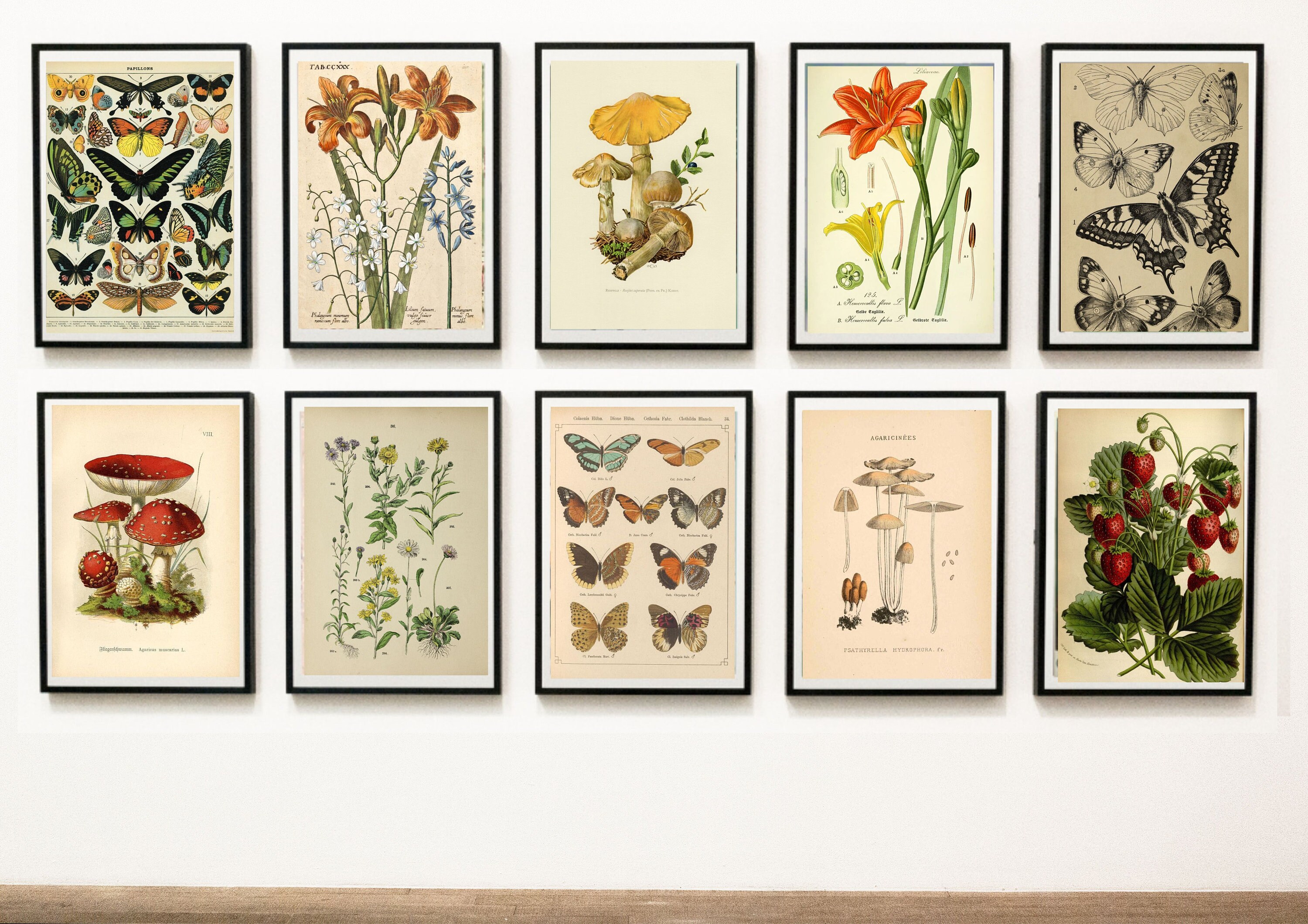 25 Vintage Nature Posters Wall Decor - Digital Download *READ ITEM ...