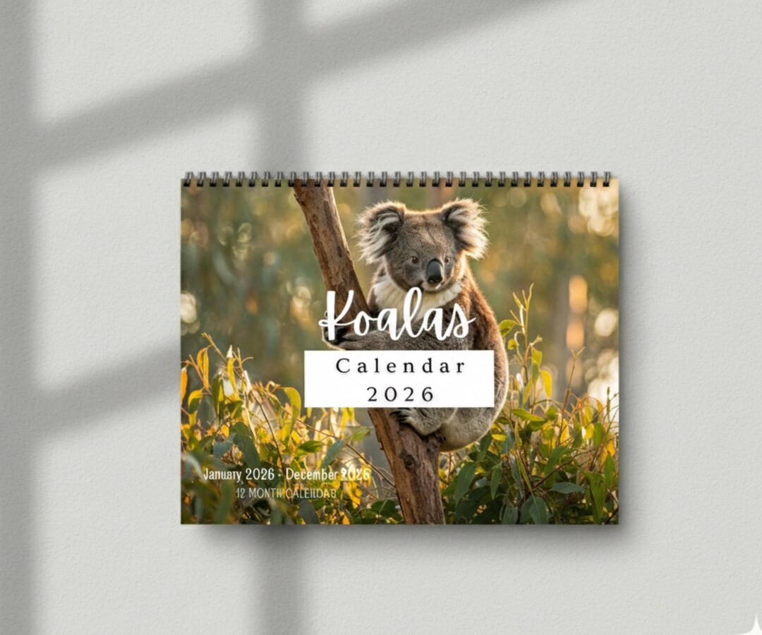 2026 Koala Wall Calendar, Australian Wildlife Decor - Etsy
