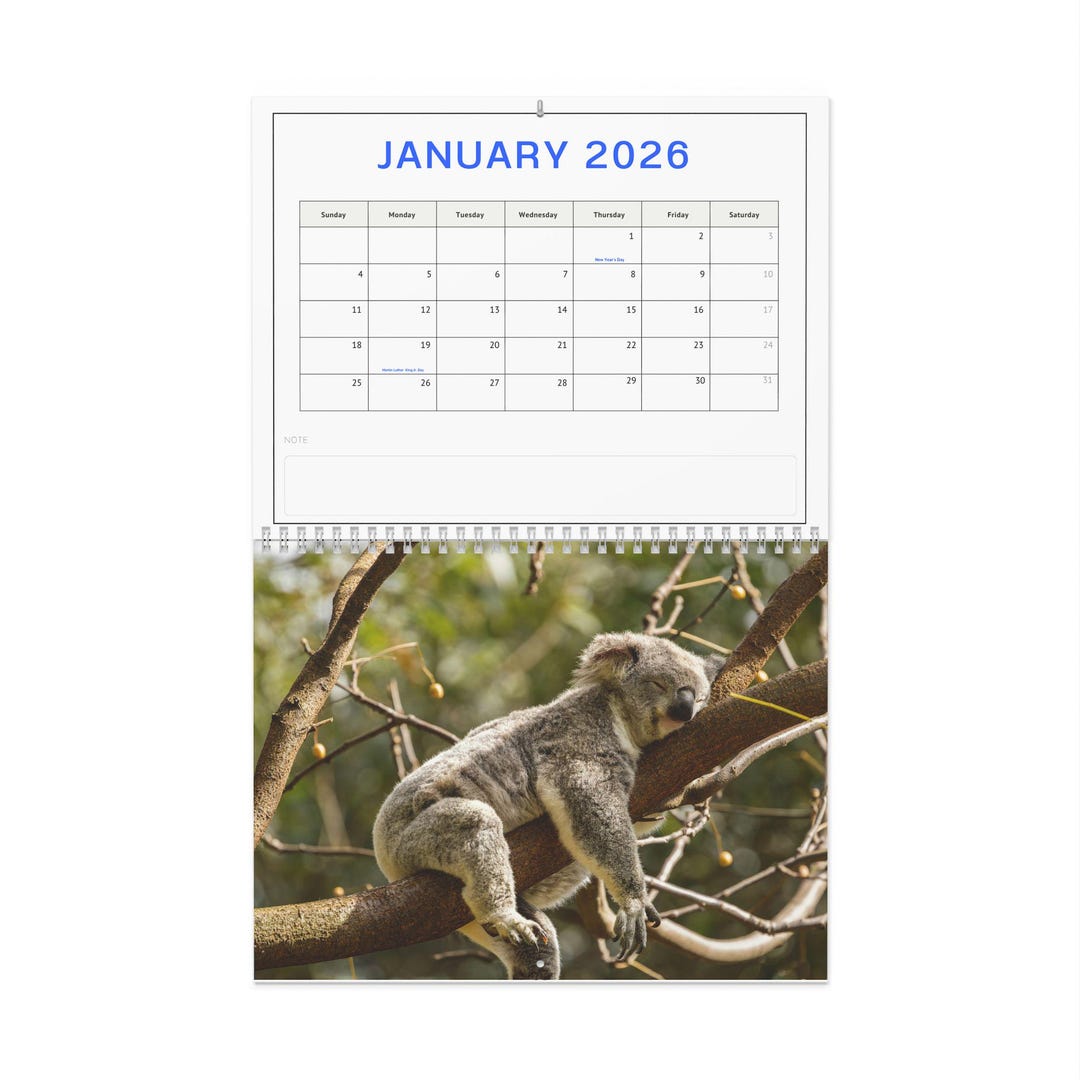 2026 Koala Wall Calendar, Monthly Wall Calendar, Cute Australian ...