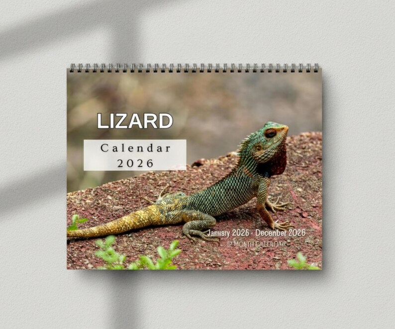 2026 Lizard Wall Calendar, Monthly Wall Planner, Exotic Reptile, USA ...