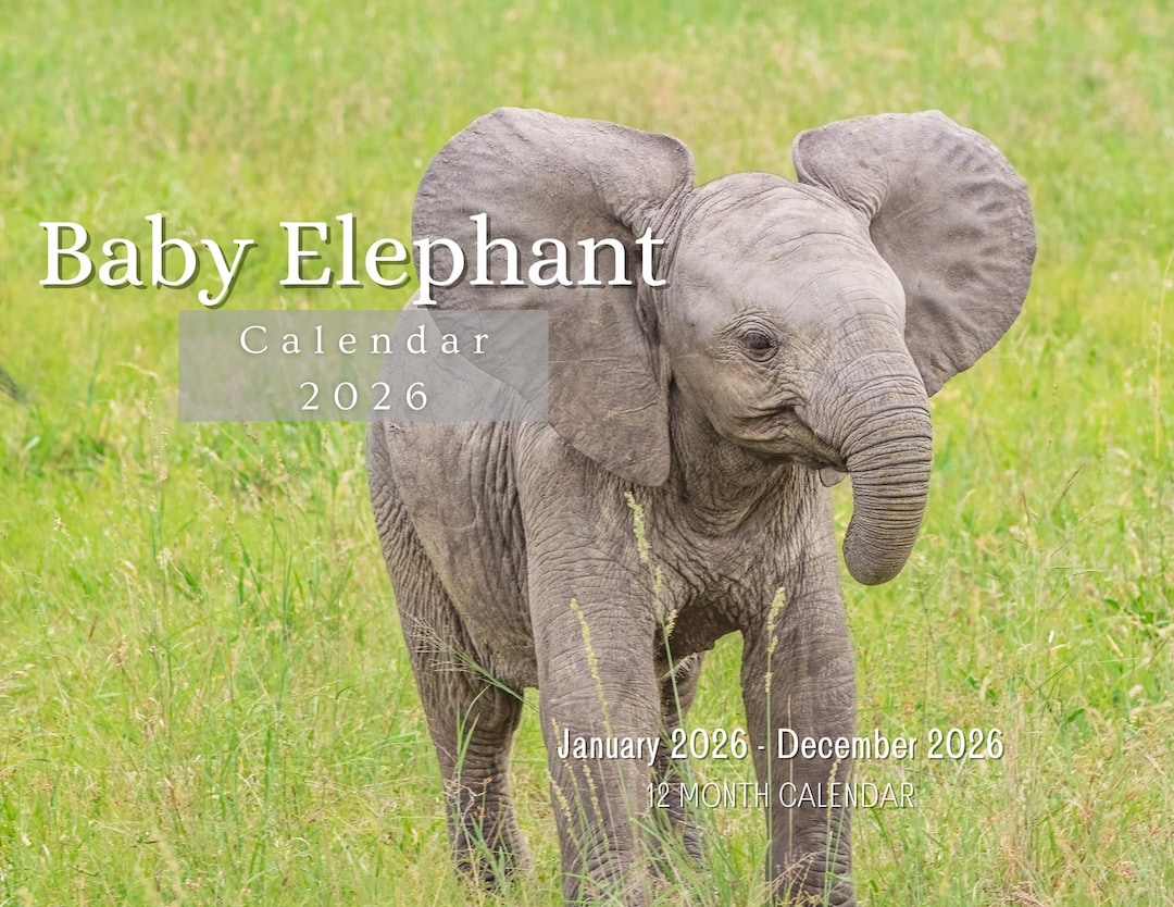Baby Elephant 2026 Wall Calendar, Monthly Planner With Notes & Holidays ...