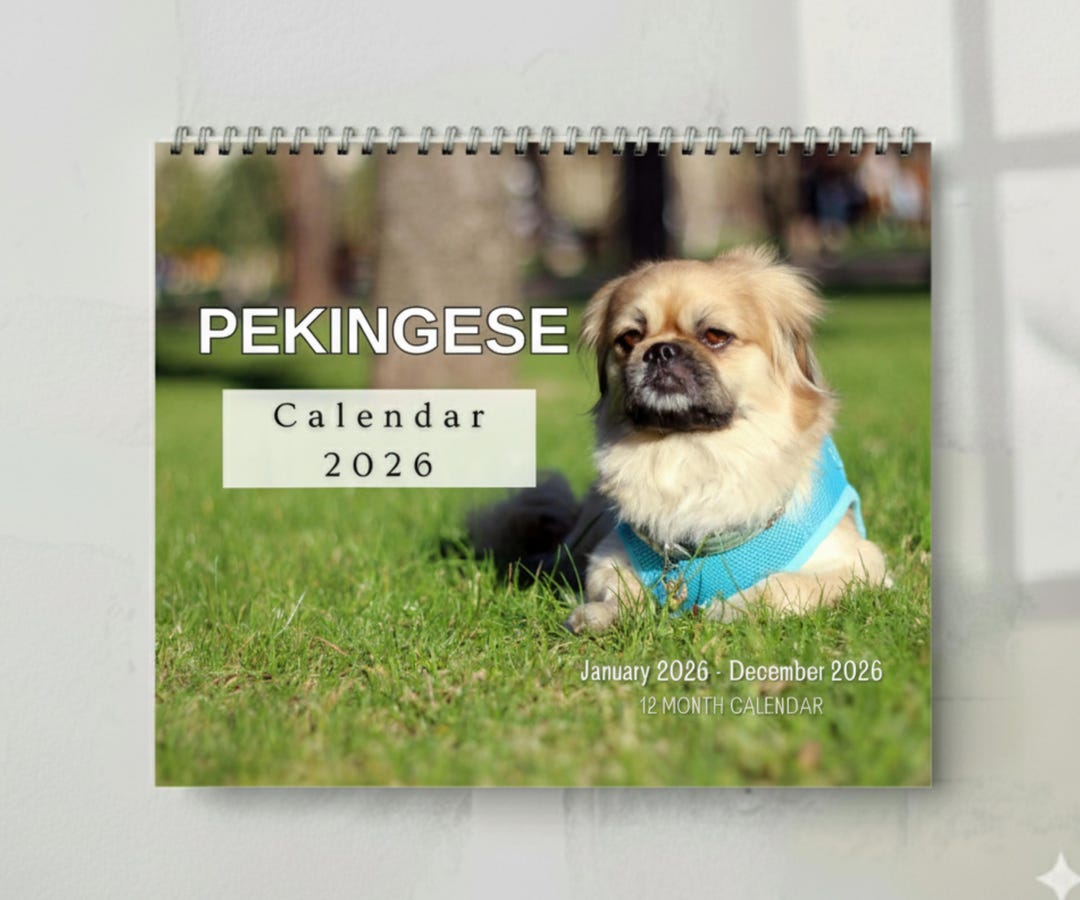 2026 Pekingese Dog Wall Calendar, Monthly Wall Calendar, Cute Pet Decor ...