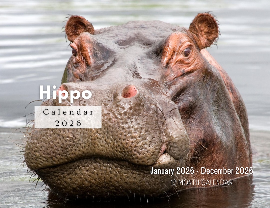 Hippo 2026 Wall Calendar, Monthly Planner With Notes & Holidays, Made ...