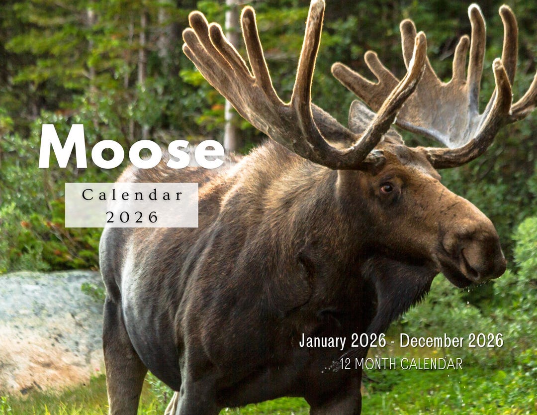 Moose 2026 Wall Calendar, Monthly Planner With Notes & Holidays, Made ...