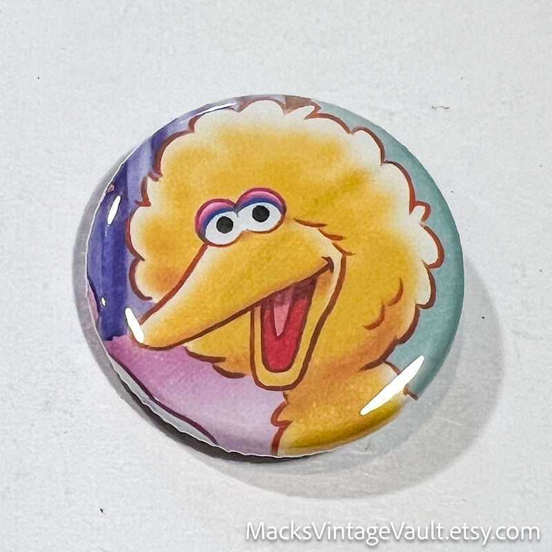 Sesame Street Pins - Etsy