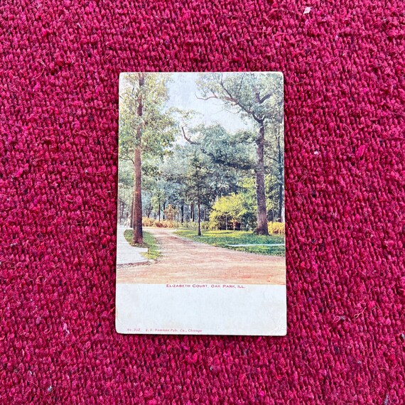 Vintage Chicago Postcard used 1909 Approx. - Etsy