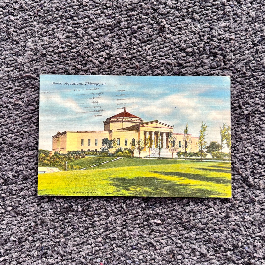 Vintage Chicago Postcard (used 1949) - Shedd Aquarium, Museum Campus ...
