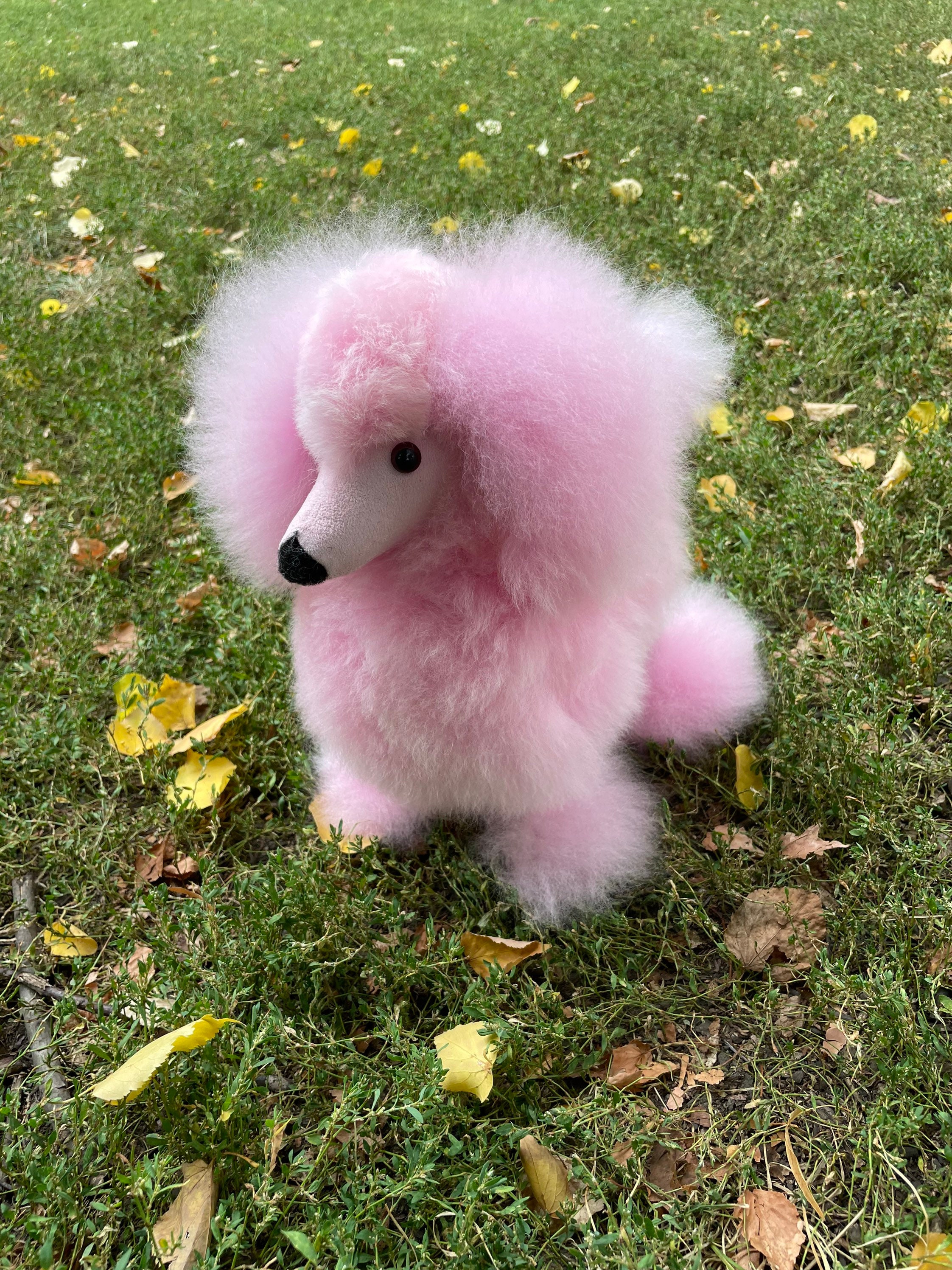 Poodle Pink Baby Alpaca Poodle - Etsy