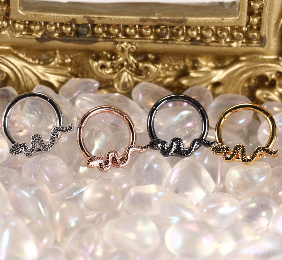 316L Surgical Steel Snake Nose Ring Hoop Hinge Segment Seamless Click ...