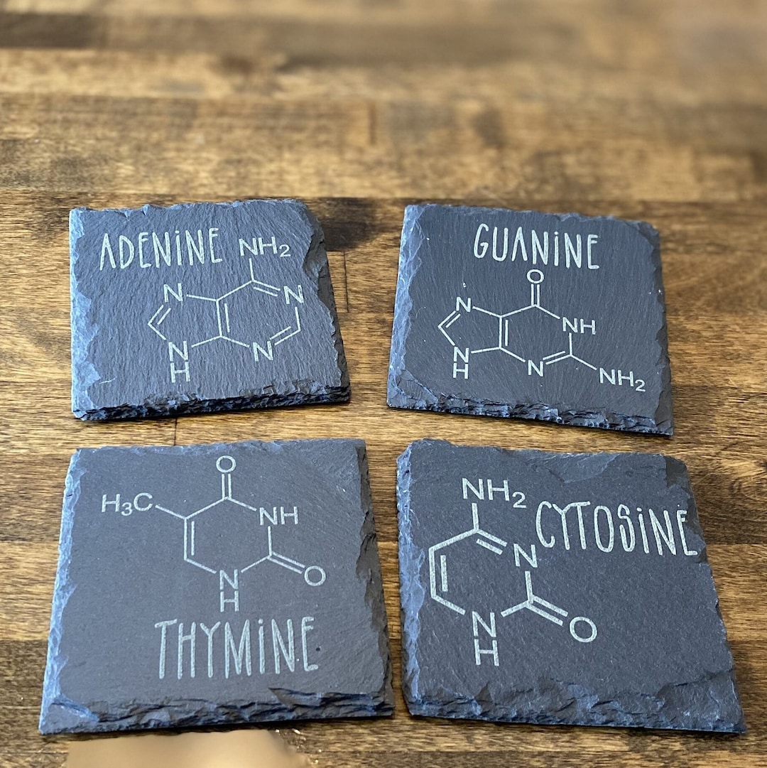 DNA Slate Engraved Coaster Set | Grad Gift, Office Gift, Scientist Gift ...