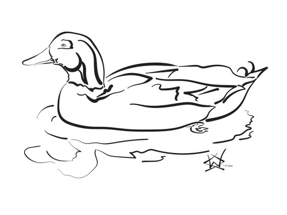 Green Headed Mallard Duck Line Trace Printable Download - Etsy