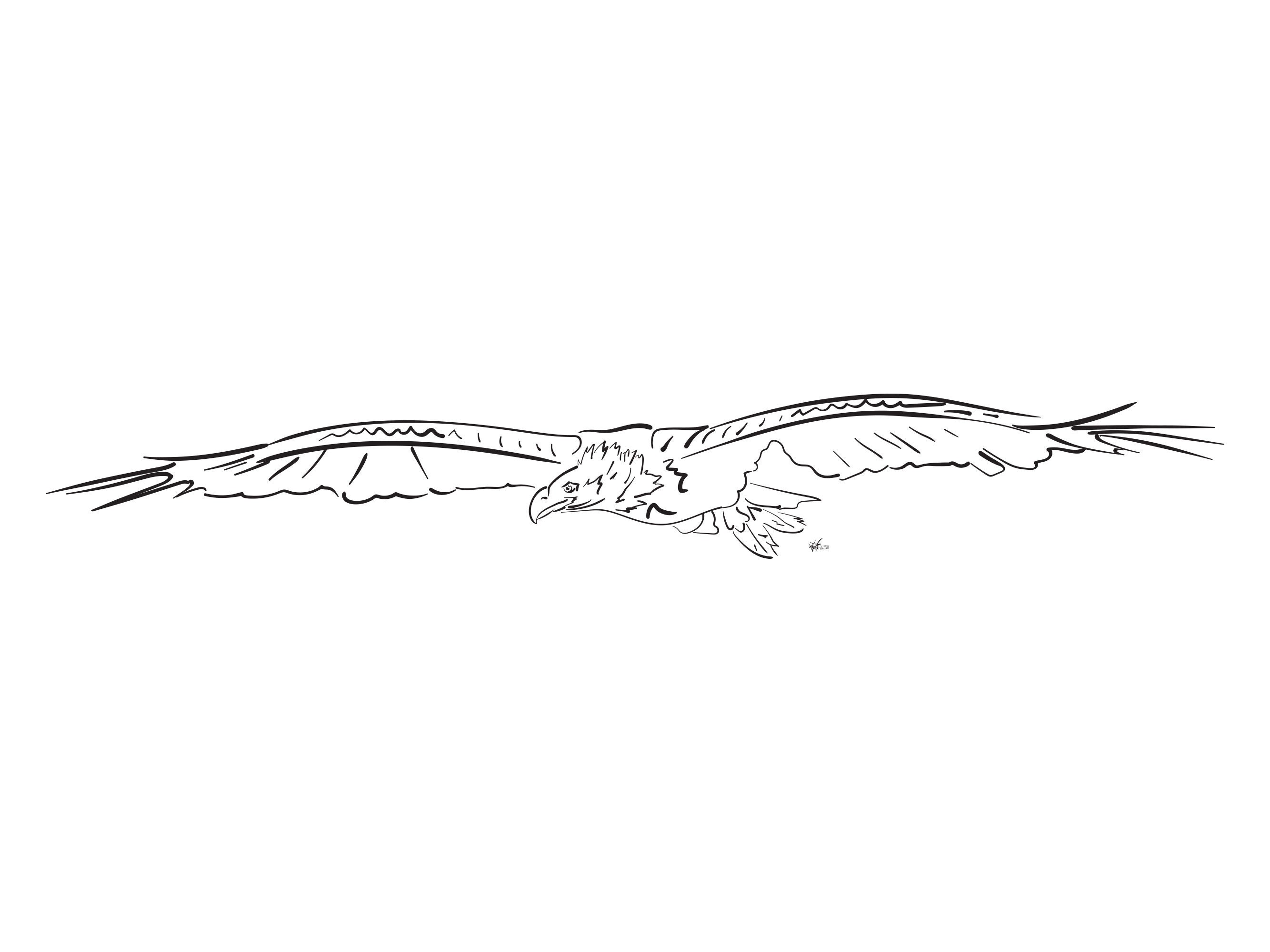 Eagle Face Line Drawing