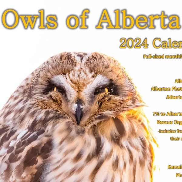 2024 Owl Calendar - Etsy