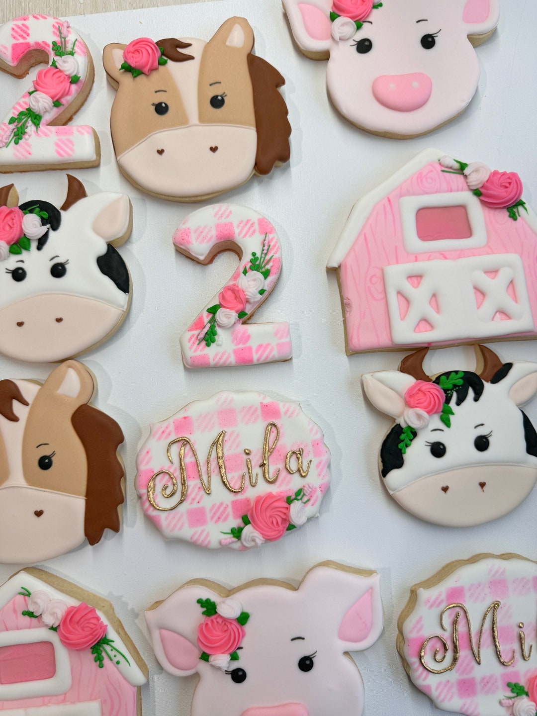 Farm Second Birthday Cookies Set/ Favors / Animals Cookies - Etsy