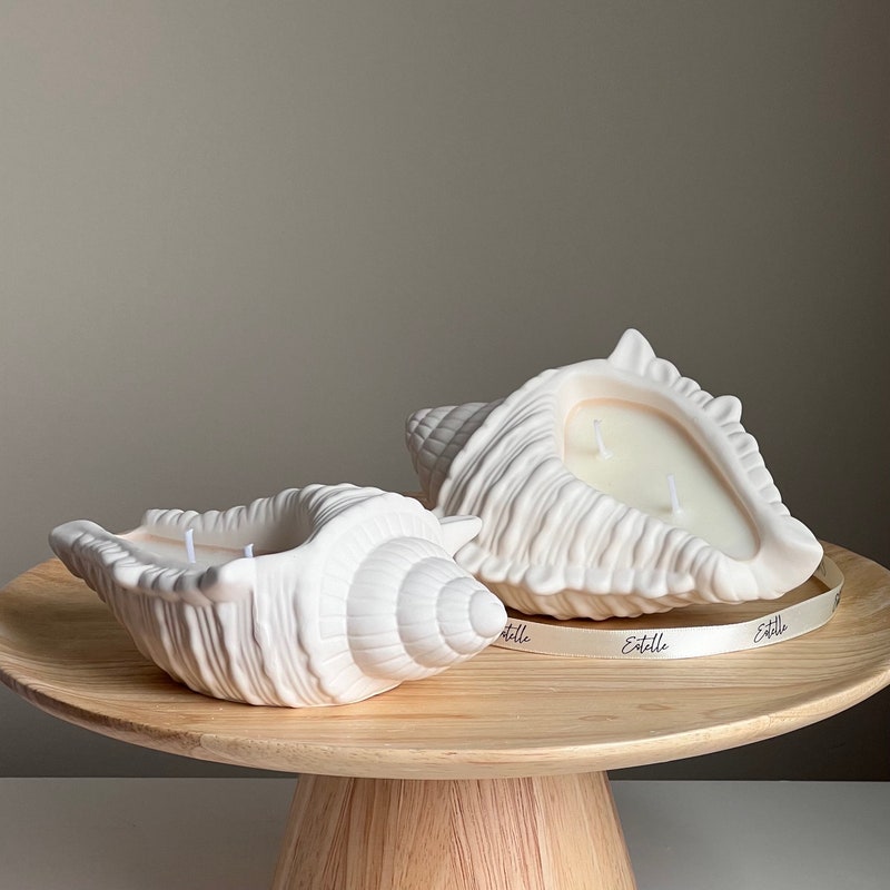 Shell Container - Etsy