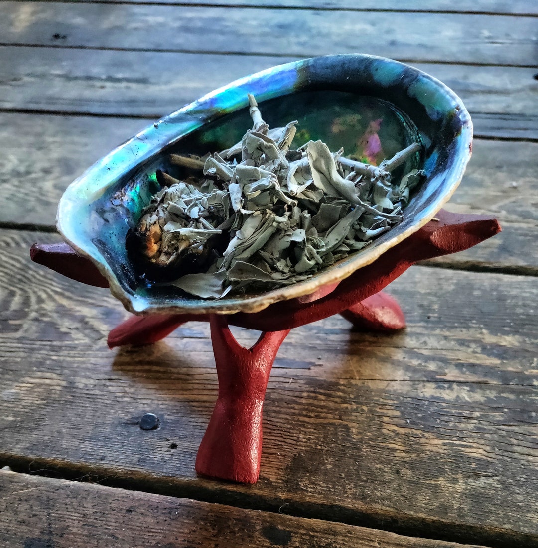 Natural Abalone Shell, Smudge Bowl, for Smudge Sticks, Palo Santo ...